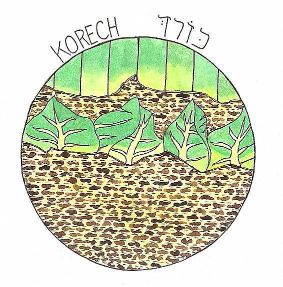 Pesach 5781 | Passover Haggadah by Temple Beth Am