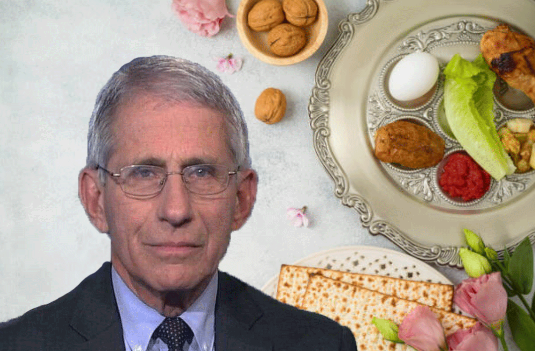 Seder letter to Dr. Fauci | Passover haggadah by Allyson Jacobson