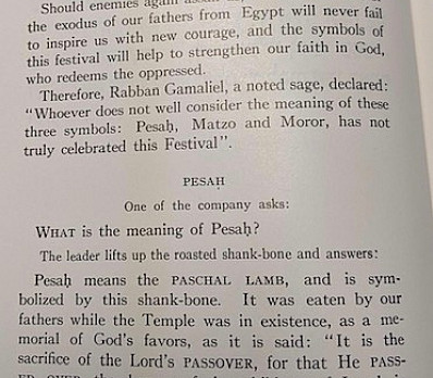 The Passover Symbols | Passover haggadah by Kerri Murphy