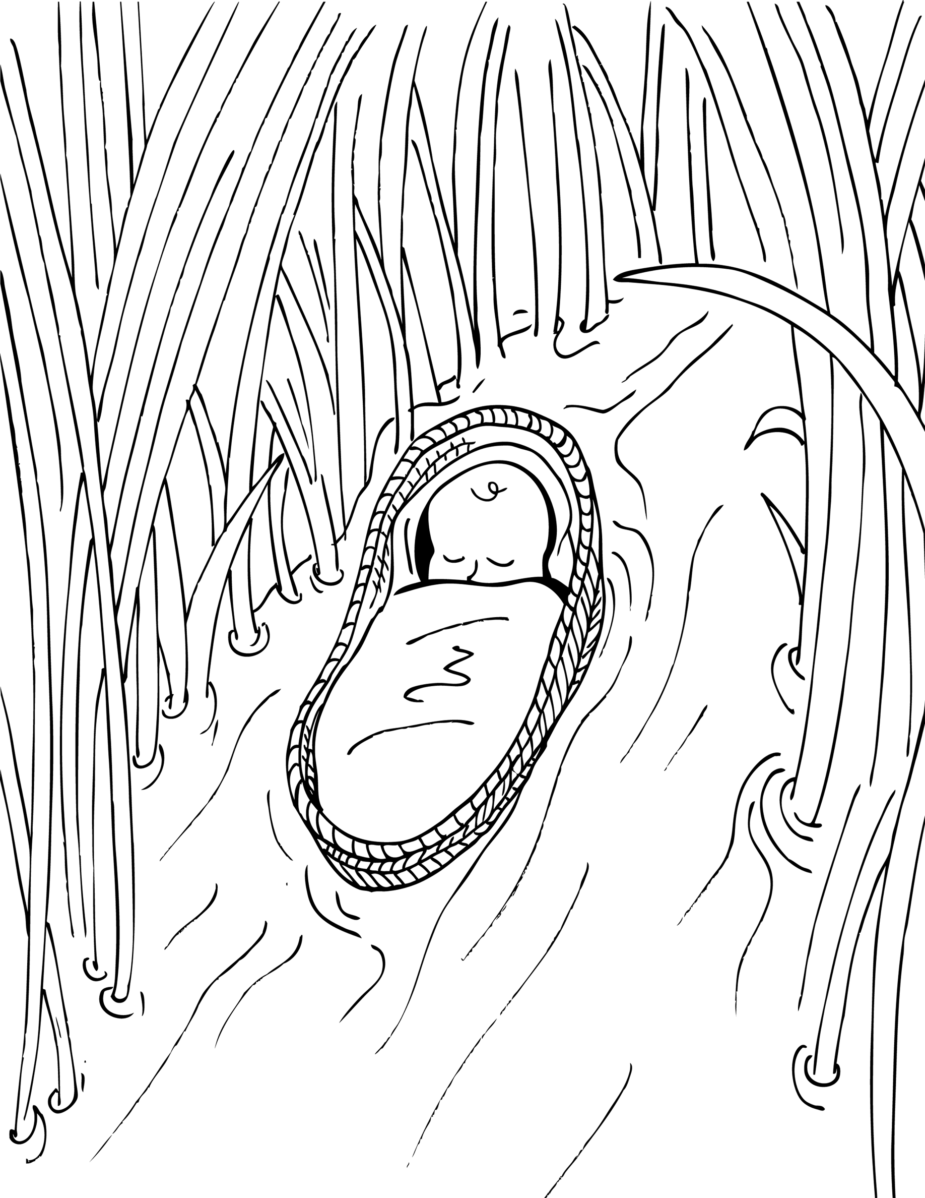 Baby Moses in the Reeds | Passover haggadah by Annabella Galdamez For ...