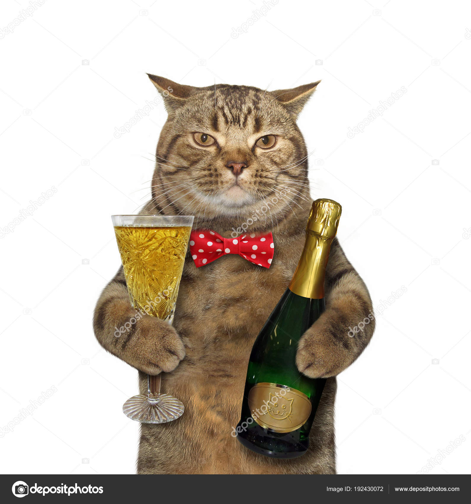 cats drinking | Passover haggadah by Karen Sobel