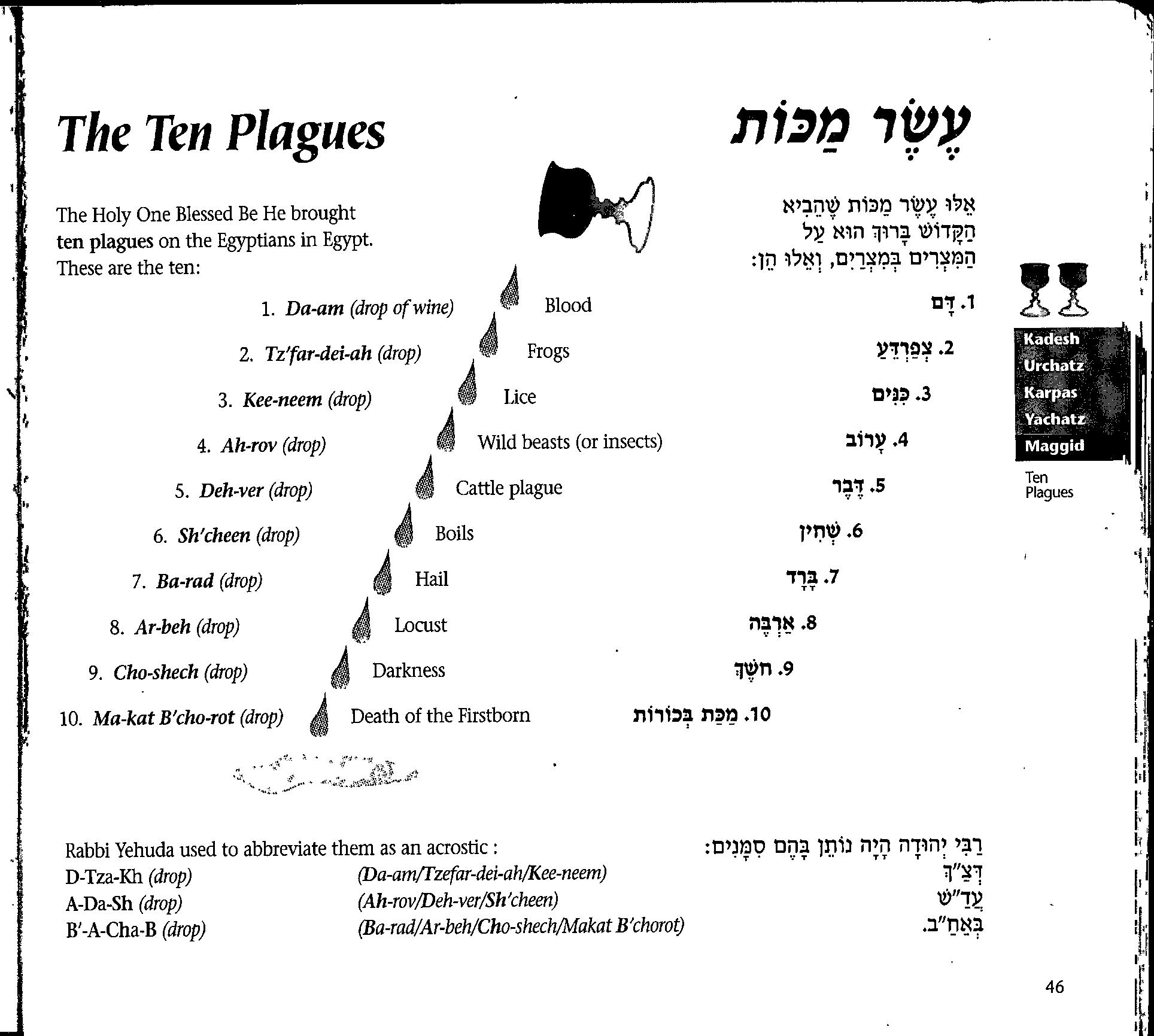 The Ten Plagues | Passover haggadah by Mollie Leibowitz