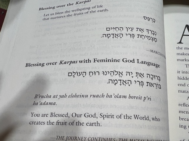 Karpas Blessing | Passover haggadah by Sara Pevar