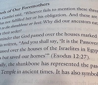 The Three Symbols | Passover haggadah by Sara Pevar