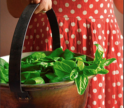 Karapas photo | Passover haggadah by Nancy Bundt